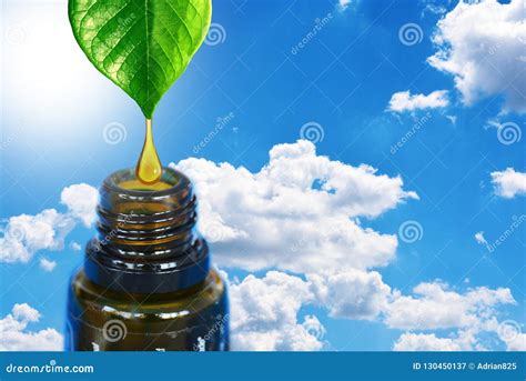 Aceites Esenciales Del Aromatherapy Como Remedios Naturales Con El