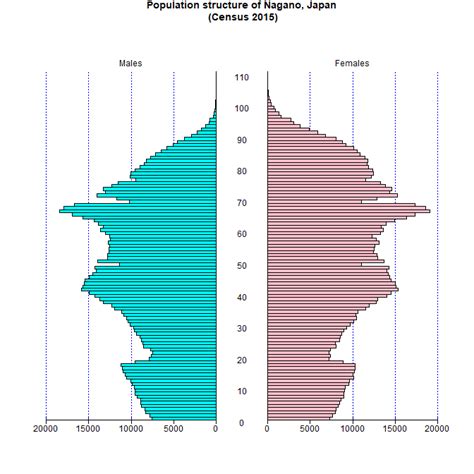 How To Make Population Pyramid