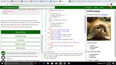 Create A Set Of Radio Buttons Help1 Html Css The Freecodecamp Forum