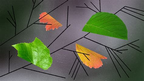 Can We Predict Evolution Big Think