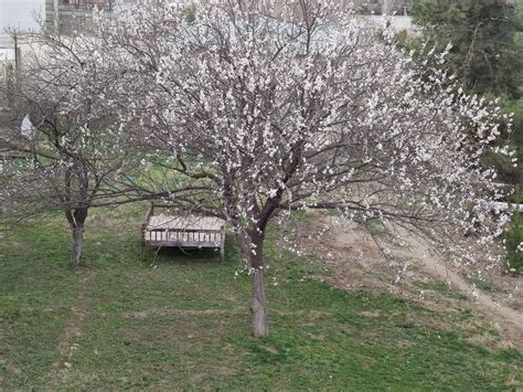 Pin de Элина Йилмаз en Tashkent.Uzbekistan