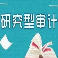 研究型审计在行业系统审计中的应用 问题 项目 质量