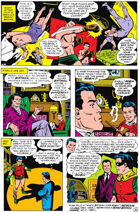 Did You Know That In One Of The Robin Origin Retellings It Was Revealed That Bruce Gave Dick