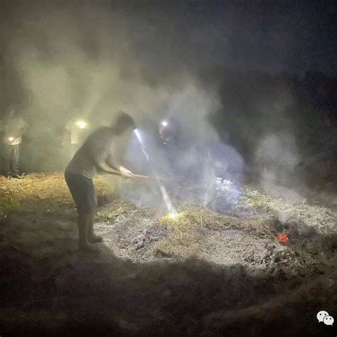 提醒！赣县区阳埠乡3村民野外用火被罚！秸秆农作物规定