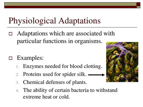 Chapter 21 Adaptation And Speciation Ppt Download Chapter 21 Adaptation And Speciation Ppt Download