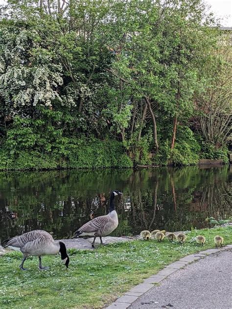 Josh Hansell On Linkedin Email Ai Experience Socialmedia Engagement Saassales Saas