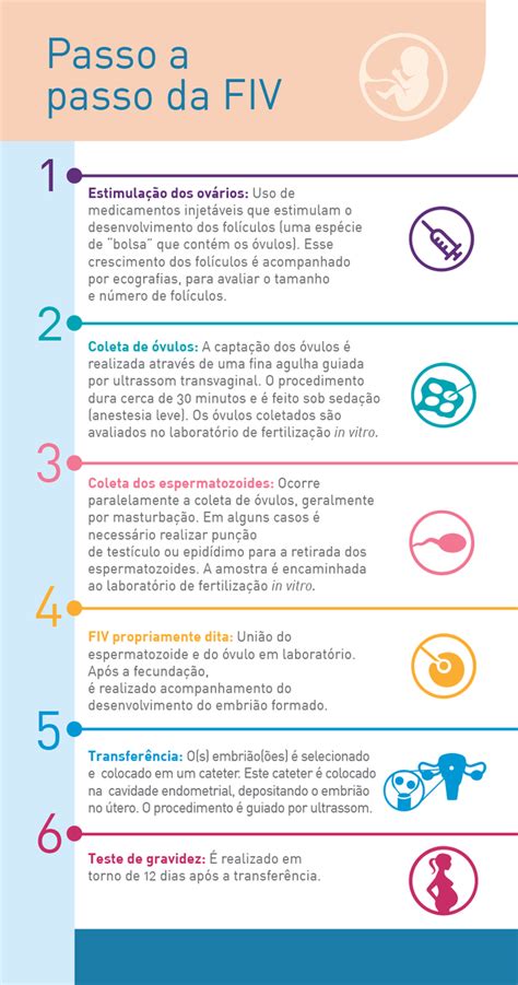 Passo A Passo Da Fertilização In Vitro