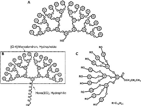 Chemical Structures Of A A Fourth Generation Poly Aryl Ether Download Scientific Diagram