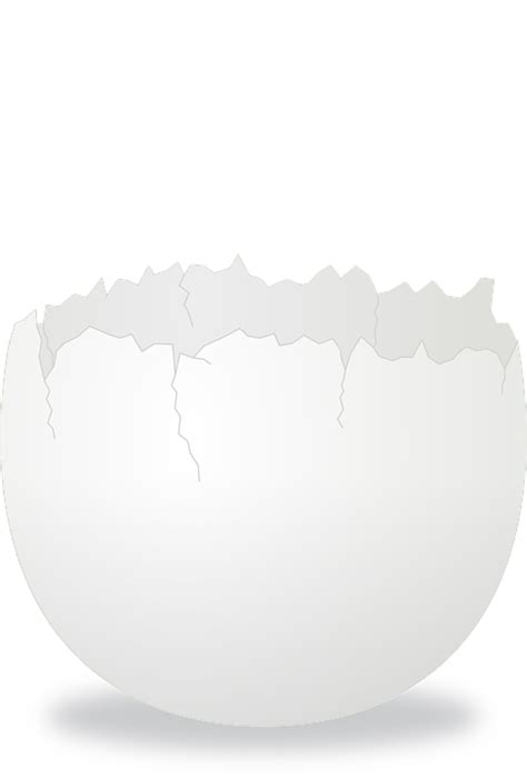 Download Egg Shell Cracked Royalty Free Vector Graphic Pixabay