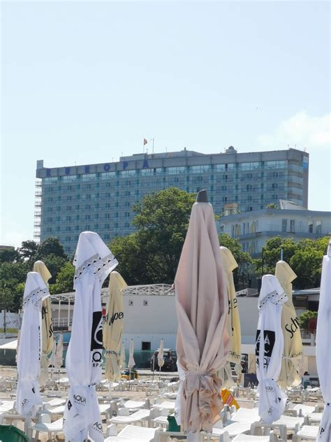 Catarg Steag Logoexpert