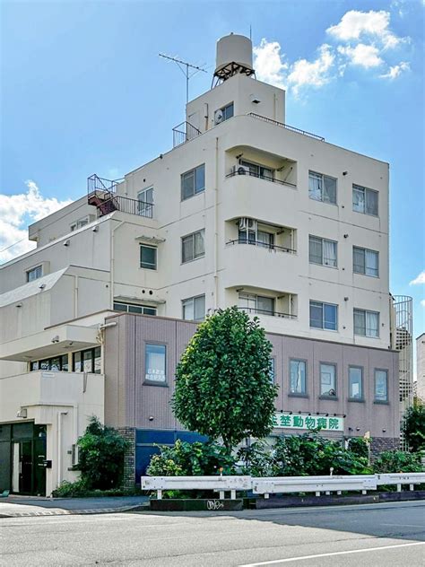 シルクロードビル世田谷区大原のビル情報【オフィスナビ®】