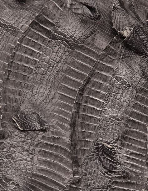 Caimen Skin Leather Exoticleathersbyray