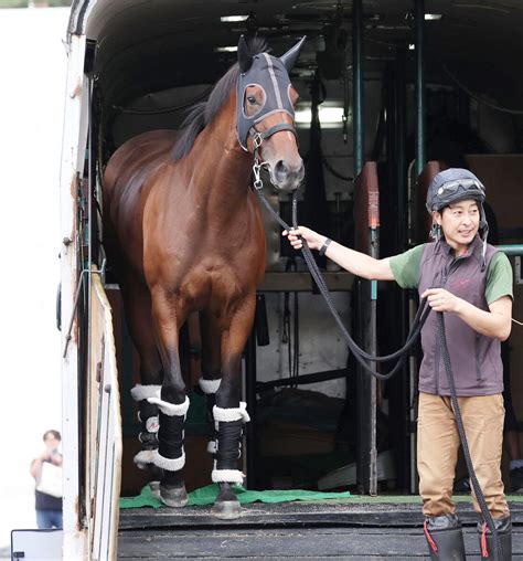 【注目馬動向】リバディアイランドが史上7頭目の牝馬3冠へ帰厩 中内田調教師「いい夏を過ごしてくれました」 Umatoku 馬トク