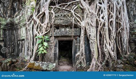 Angkor Wat Cambodia Ta Prom Khmer Ancient Buddhist Temple Stock Image