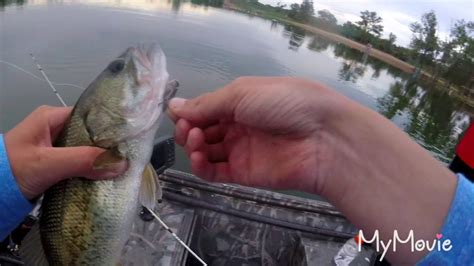 Catching The Postspawn Bass Youtube
