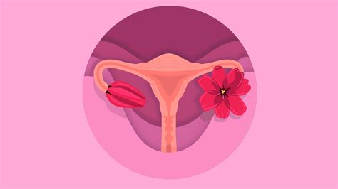 How Do You Know When Youre Ovulating Glamour Uk