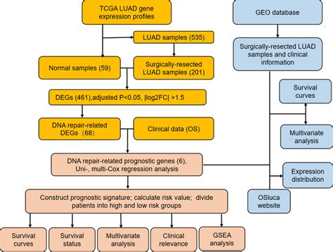 Flow Diagram Of Methods For Developing And Verifying The Six Dna