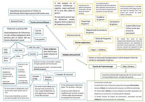 Activitat Imatge Article Coeducaci I Mapa Mental Esquema M Desenvolupament Socioafectiu