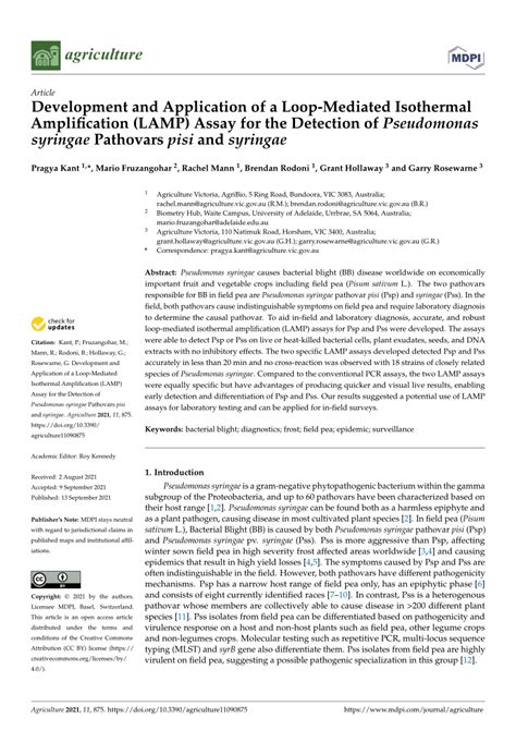 Pdf Development And Application Of A Loop Mediated Isothermal Amplification Lamp Assay For