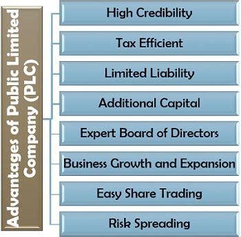 What Is A Public Limited Company PLC Definition Example