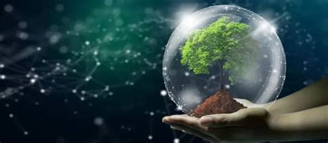 Analisis Dampak Kegiatan Corporate Social Responsibility Csr Dalam