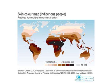 Human Skin Colour Teaching Resources