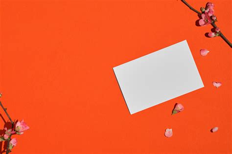 탄 오렌지 휴일 배경에 흰색 종이 봉투 복사 공간 상단 보기 해피 우먼스 데이 인사말 꽃잎과 꽃은 테이블에 흩어져 있습니다 해피 발렌타인 데이 편지 엽서에 대한 스톡 사진