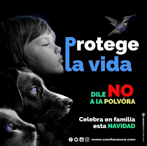 La pólvora no es un juego Periódico La Campana Periódico La Campana