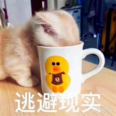 自律者自由 知乎