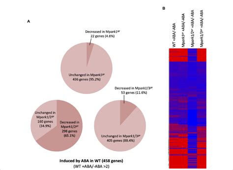 Profiles Of Aba Responsive Gene Expression In Wild Type Wt And The