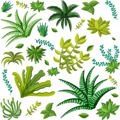 Free Vector Various Plants Seamless Pattern