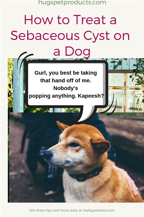 Diagram Diagram Of Sebaceous Cyst In Dogs Mydiagramonline