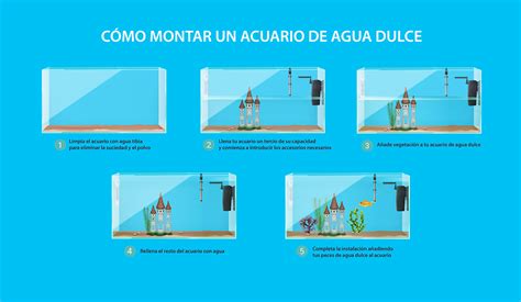 Guía Cómo Montar Un Acuario De Agua Dulce Olacuario