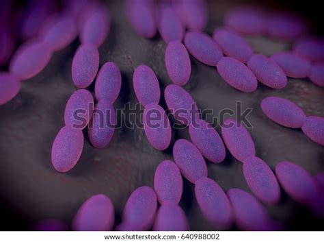 3d Rendering Acetobacter Bacteria Stock Illustration 640988002