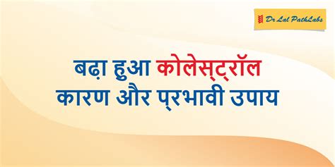 Echo Test Types Reasons Risks And Results Dr Lal Pathlabs Blog