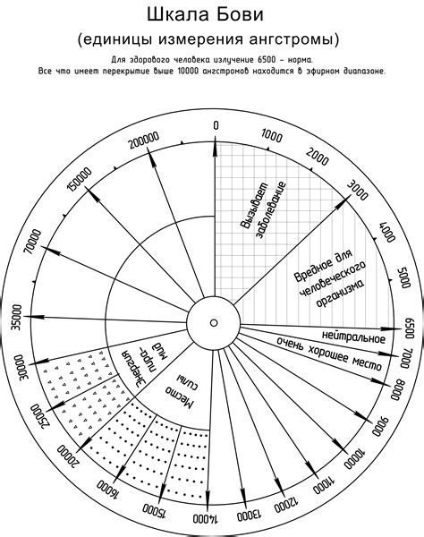 Circle Divider Template Artofit