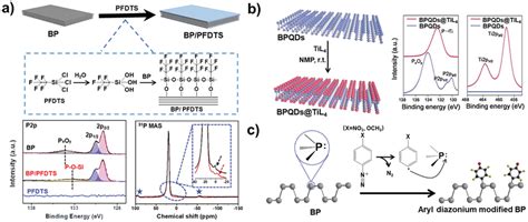 A Schematic Illustration Of The Functionalization Of PFDTS On The BP