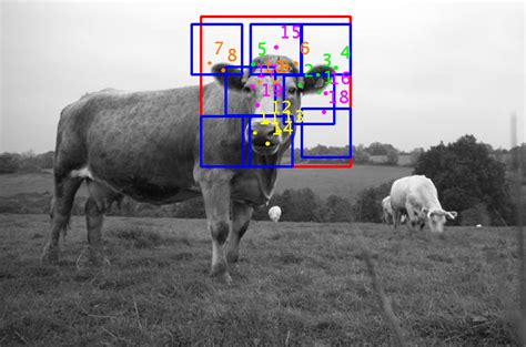 Learning A Mixture Of Hierarchical Sparse Frame Models For Clustering