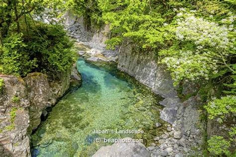 阿寺渓谷 NSPA長野県風景写真家協会