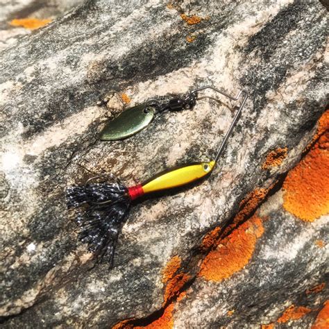 Spinnerbaits For Small Species Dynamic Lures