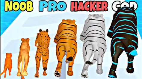 NOOB Vs PRO Vs HACKER Vs GOD In Cat Evolution YouTube