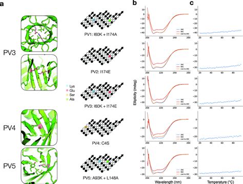 Characterization Of Polar Variant Designs A Structural Contexts Of Download Scientific