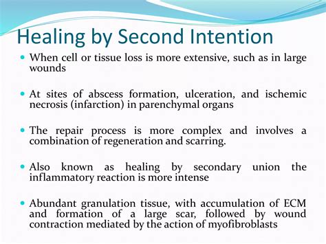Wound Healing Pptx