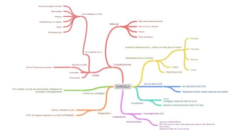 Varicela Coggle Diagram