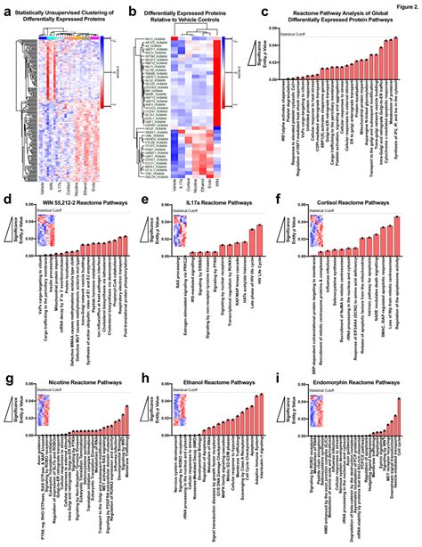 Proteome And Reactome Pathway Alterations In Human Derived Forebrain