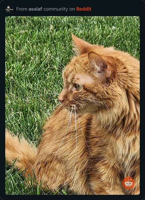 Spoilers Extended What Is Something Lord Tywin Would Say Kindly About