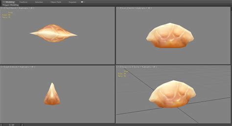 Wonton 3d Model Turbosquid 1660886