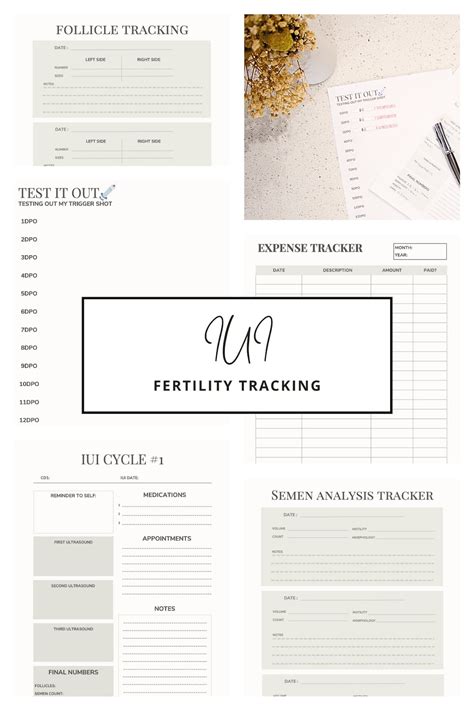 Iui Cycle 1 Tracking Packet Digital Download Fertility Tracker