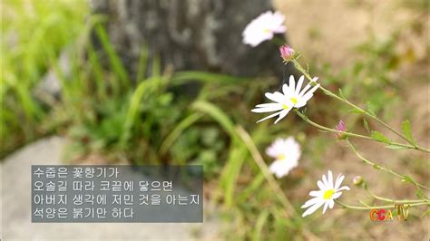 [시낭송] 이세복 영혼의 미소 시낭송 박남숙 낭송시 선정 Youtube