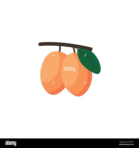 Ximenia Caffra Flat Design Clip Art Vector Illustration Isolated On A